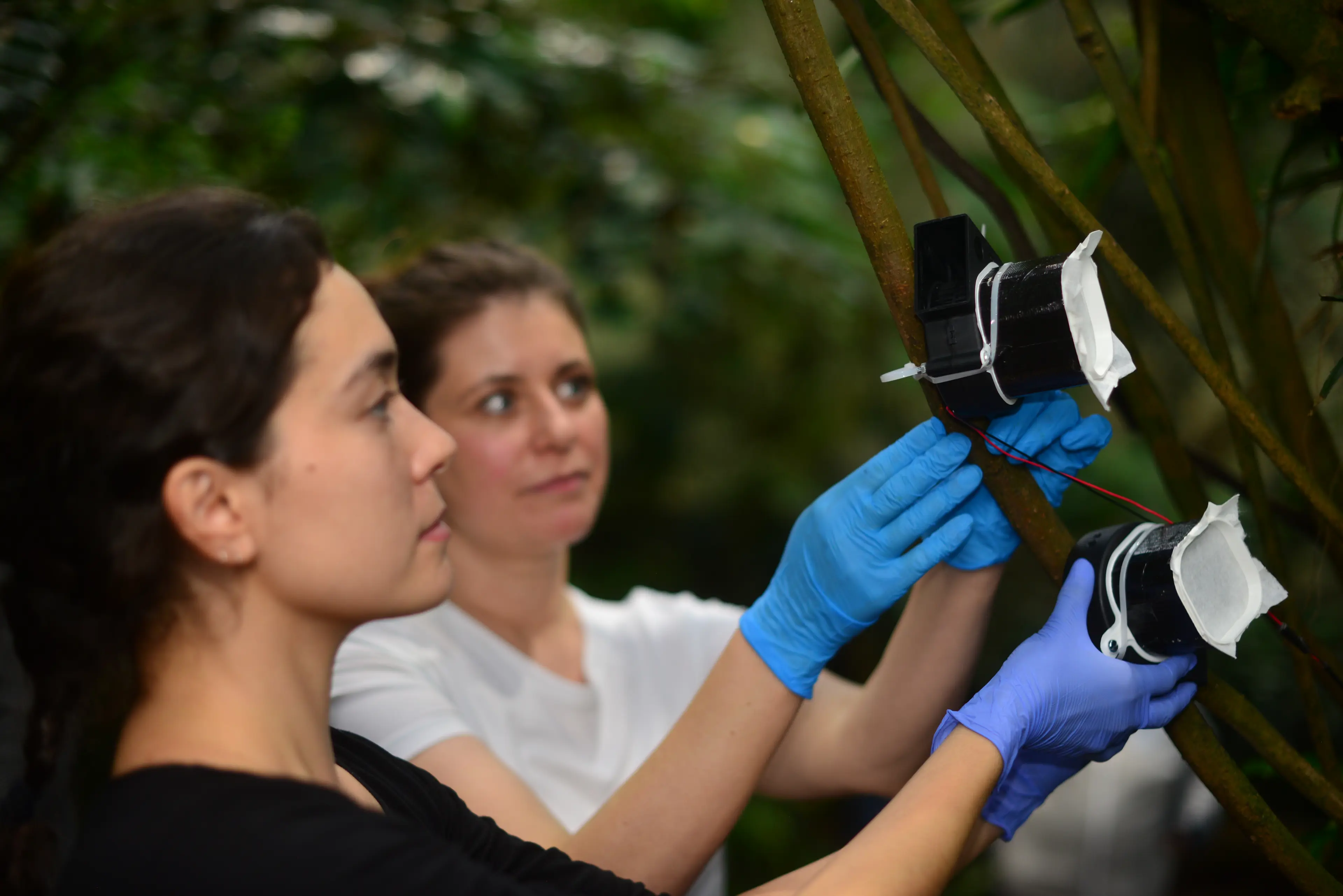 Månedens Forsker #9 2023 Kristine Bohmann | Carlsbergfondet.dk